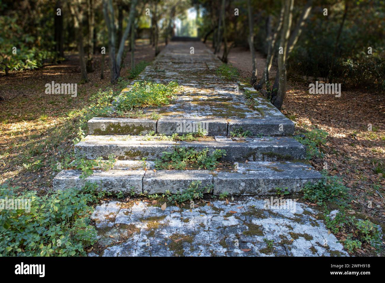 old stone stairs and path Stock Photo - Alamy