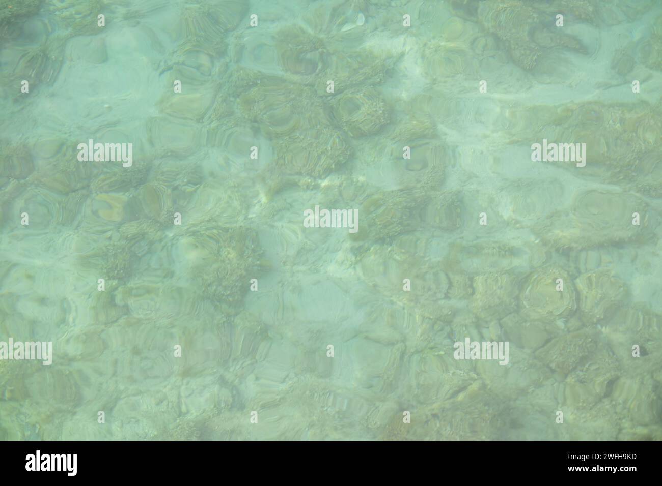 wallpaper texture of transparent ocean water with rocks beneath Stock ...