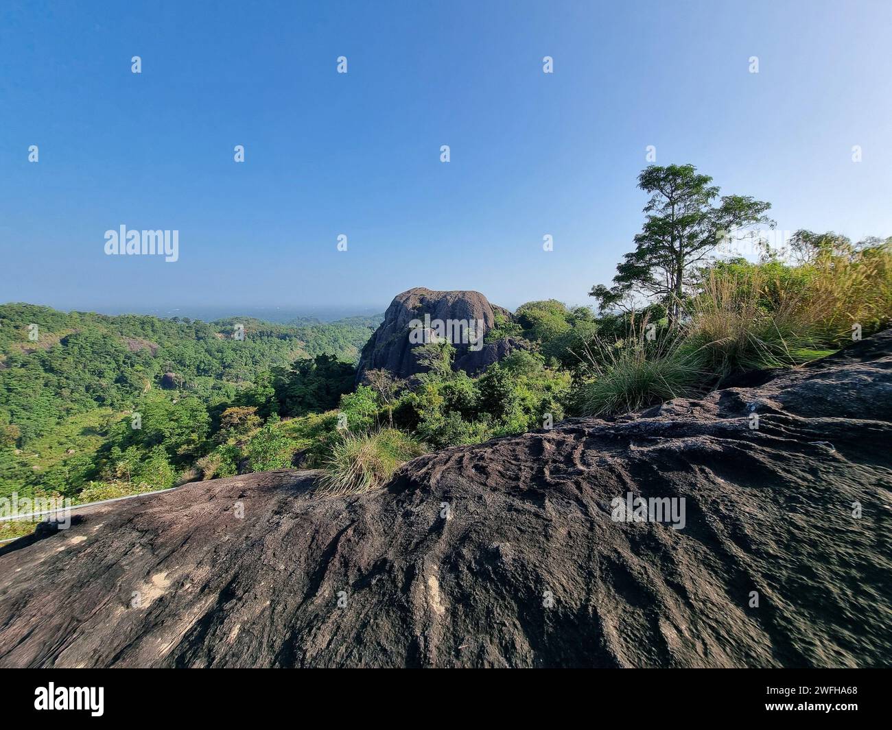 A natural landscape scenery with a giant rock and green forest Stock ...