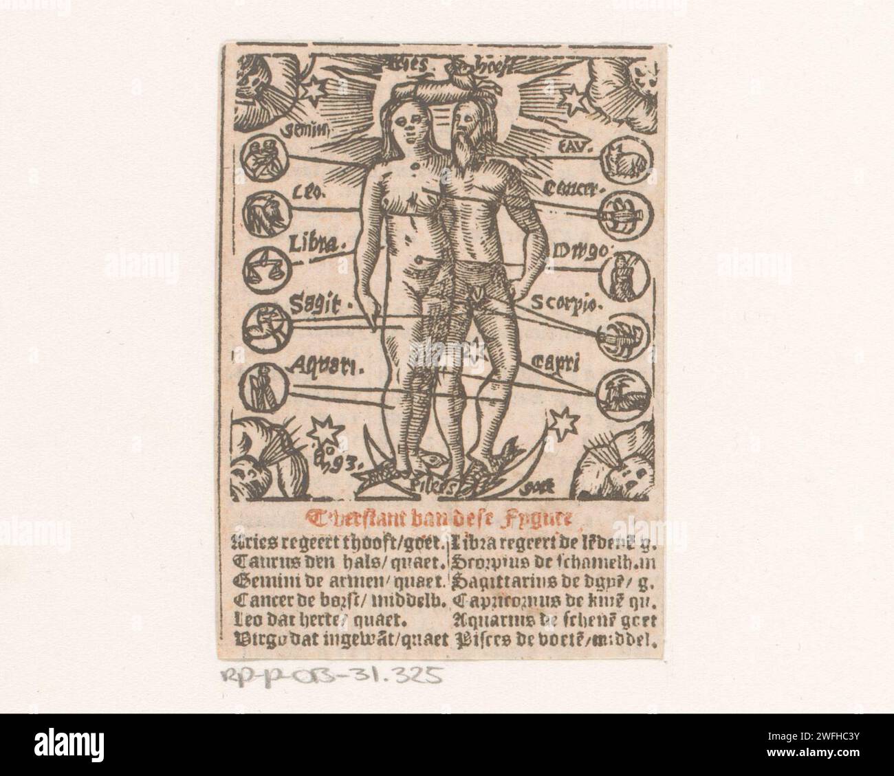 Human Body, Anonymous, 1600 - 1699 print The front view of two human ...