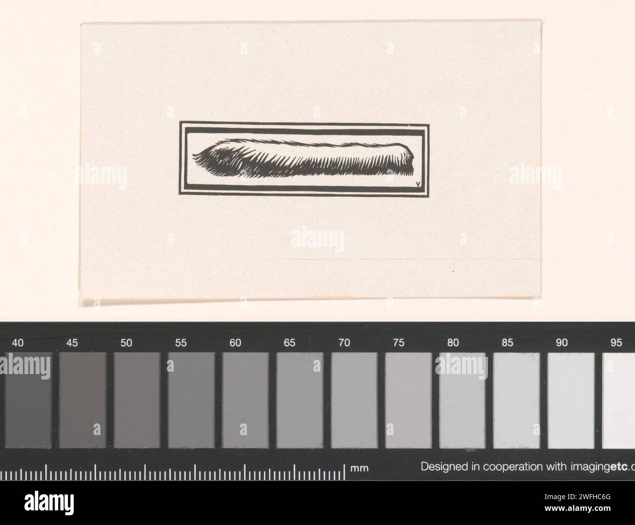 Vignette with hairy object, Elias Voet jr., 1878 - 1940 print paper ...