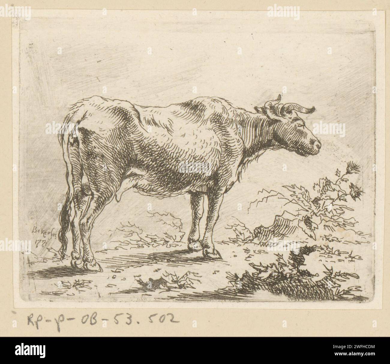 Cow used to the right, Johann Andreas Benjamin Nothnagel (Possible ...
