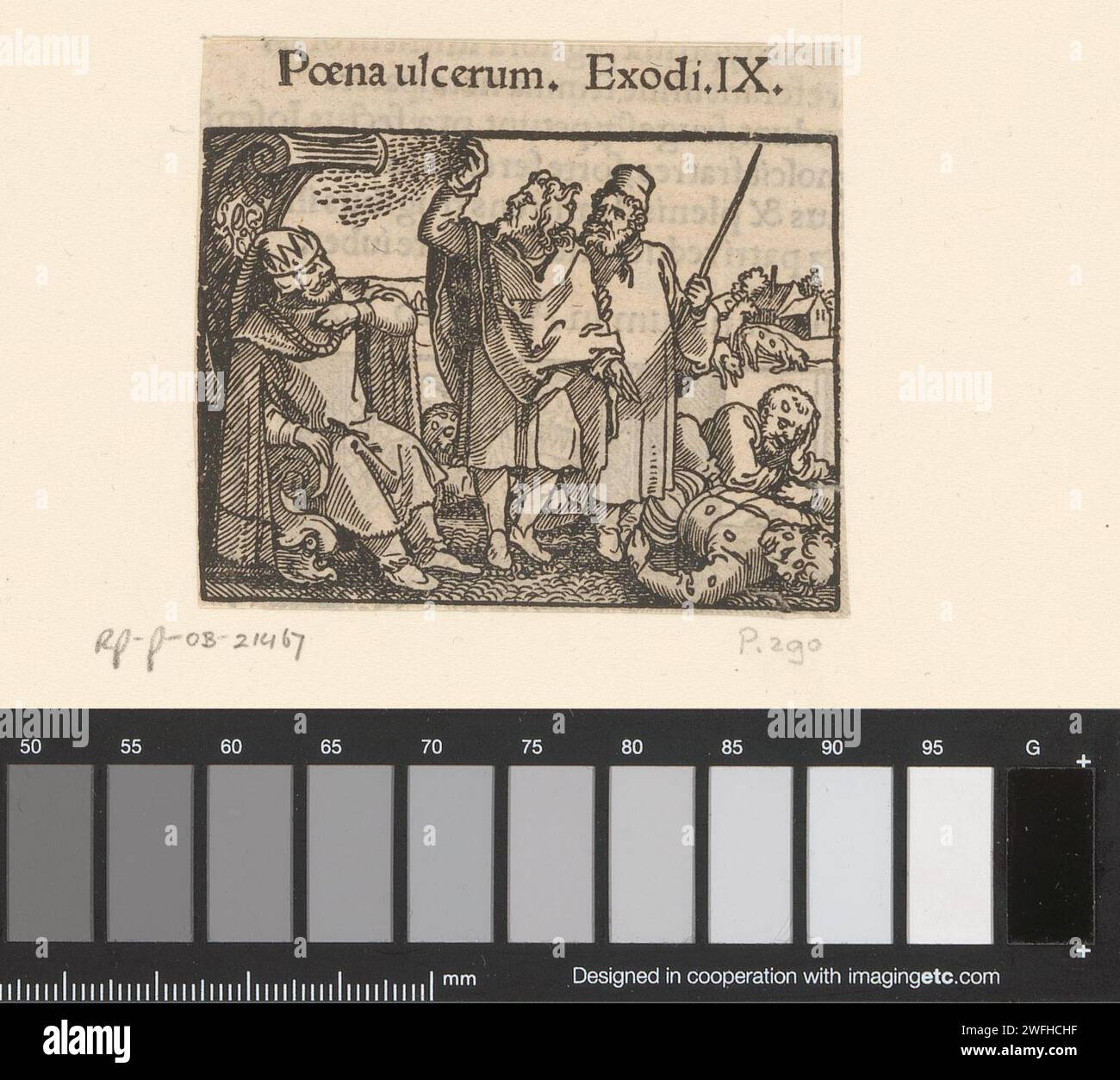 Plague of boils hi-res stock photography and images - Alamy