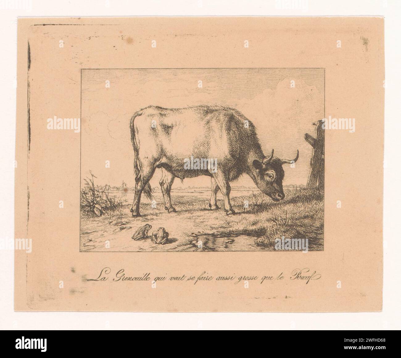 Fable of the frog who wanted to be as big as a cow, Eugène ...