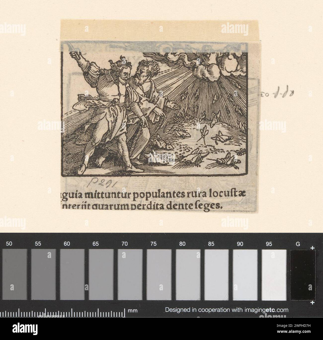 Moses raises hands locusts eat hi-res stock photography and images - Alamy