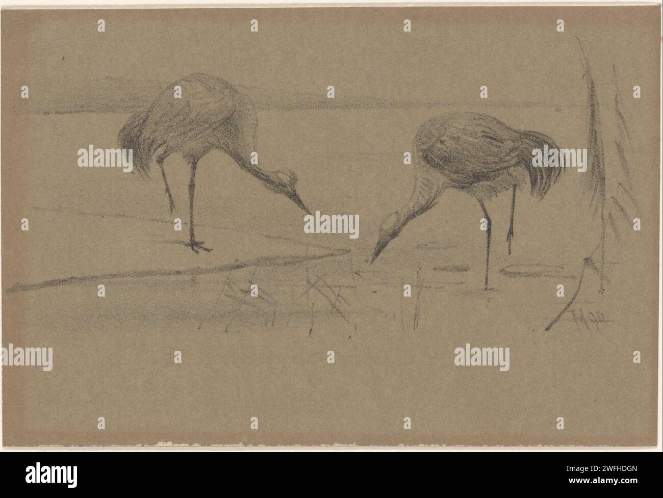 Greeting card with two cranes, Theo van Hoytema, 1890 print paper shore ...