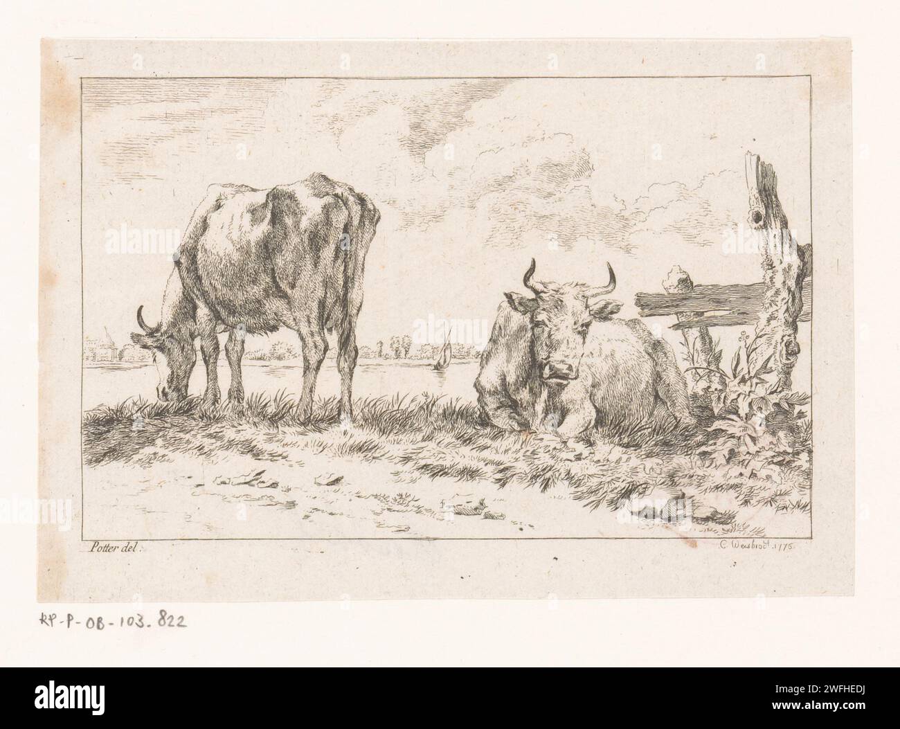 Standing grazing and a lying cow, Carl Wilhelm Weisbrod, After Paulus ...