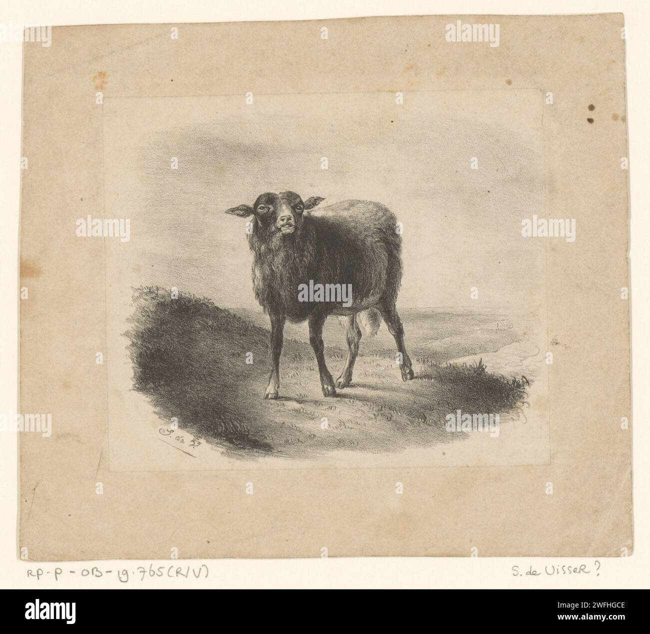 Schaap in meadow landscape, Salomon de Visser (Possible), 1835 - in Or ...