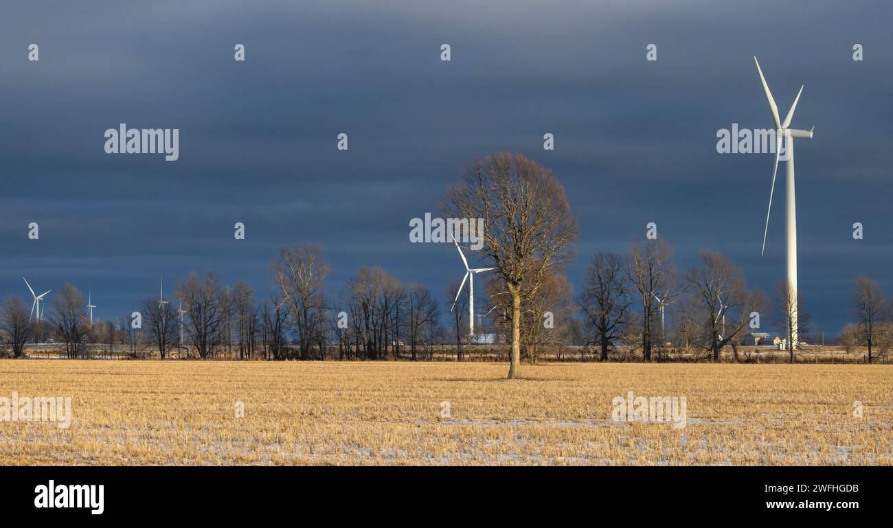 Wolfe island hi-res stock photography and images - Alamy