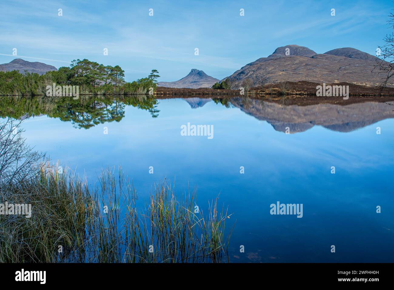 Stac Pollaidh, Sutherland, Scotland Stock Photo - Alamy