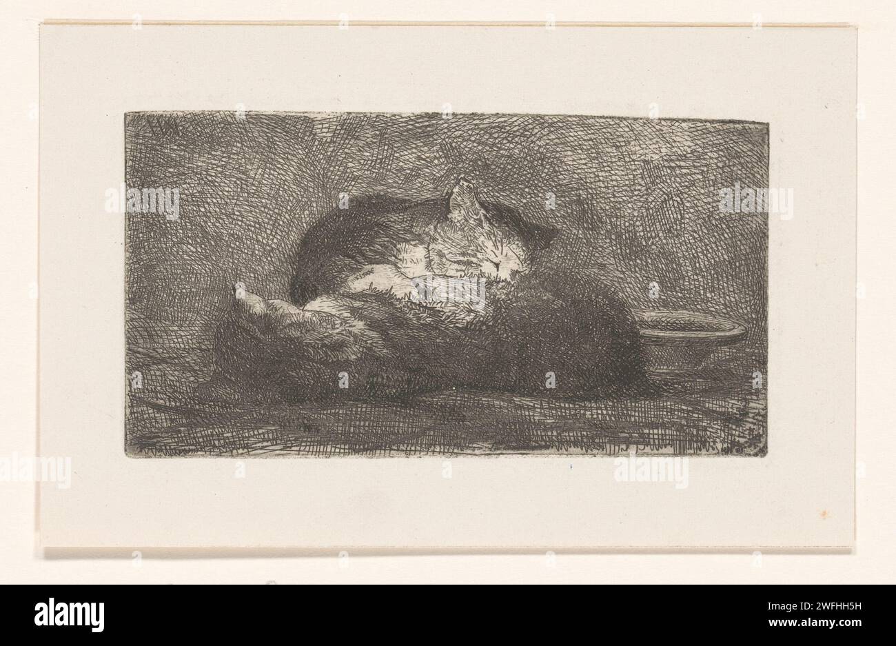 Two cats, Herman Johannes van der Weele, 1862 - 1930 print Netherlands ...