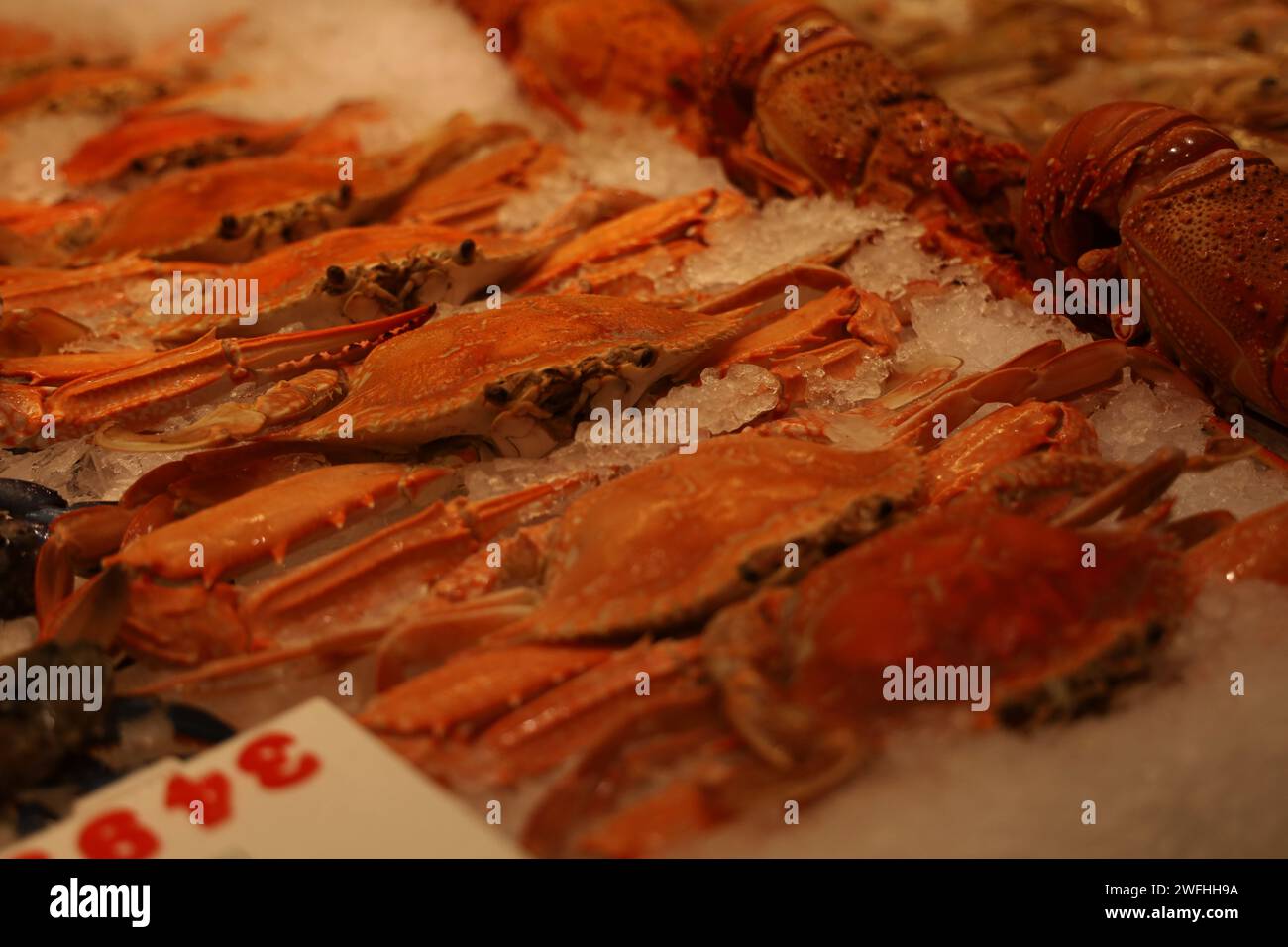 Beautiful display of cooked Blu Swimmer Crab at Ocean Luxe shop in ...