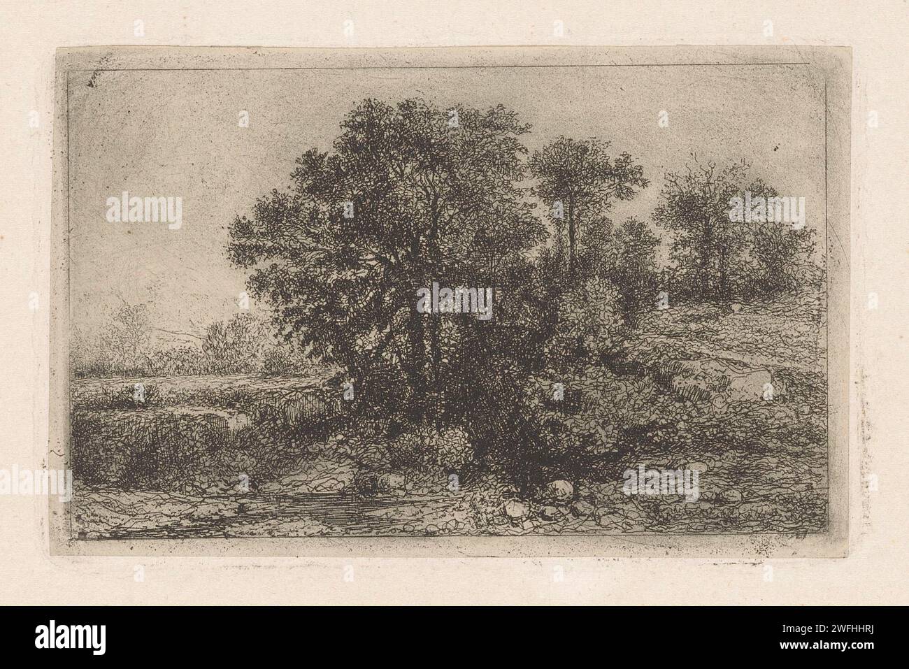 Trees against a slope, Jean Alexis Achard, c. 1851 print France paper ...