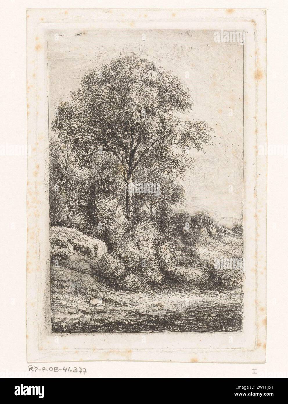 Trees and scrub on a slope, Jean Alexis Achard, 1817 - 1884 print ...