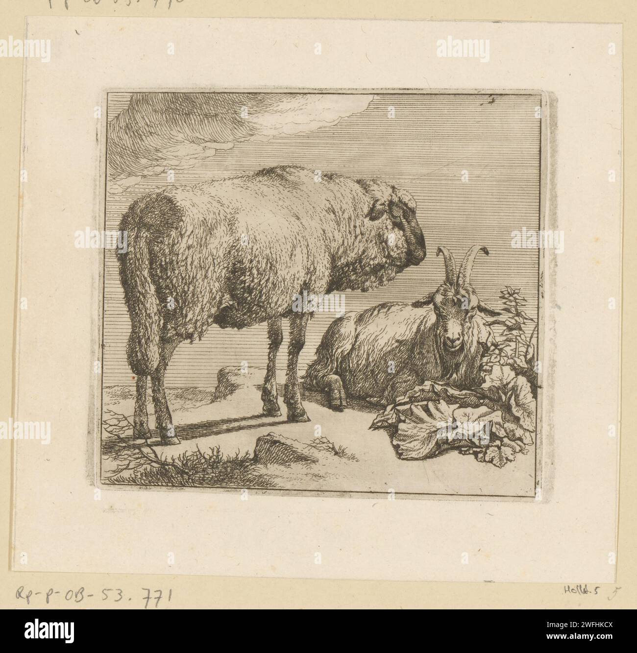 Standing sheep and lying goat, Johann Heinrich Roos, 1671 print paper ...