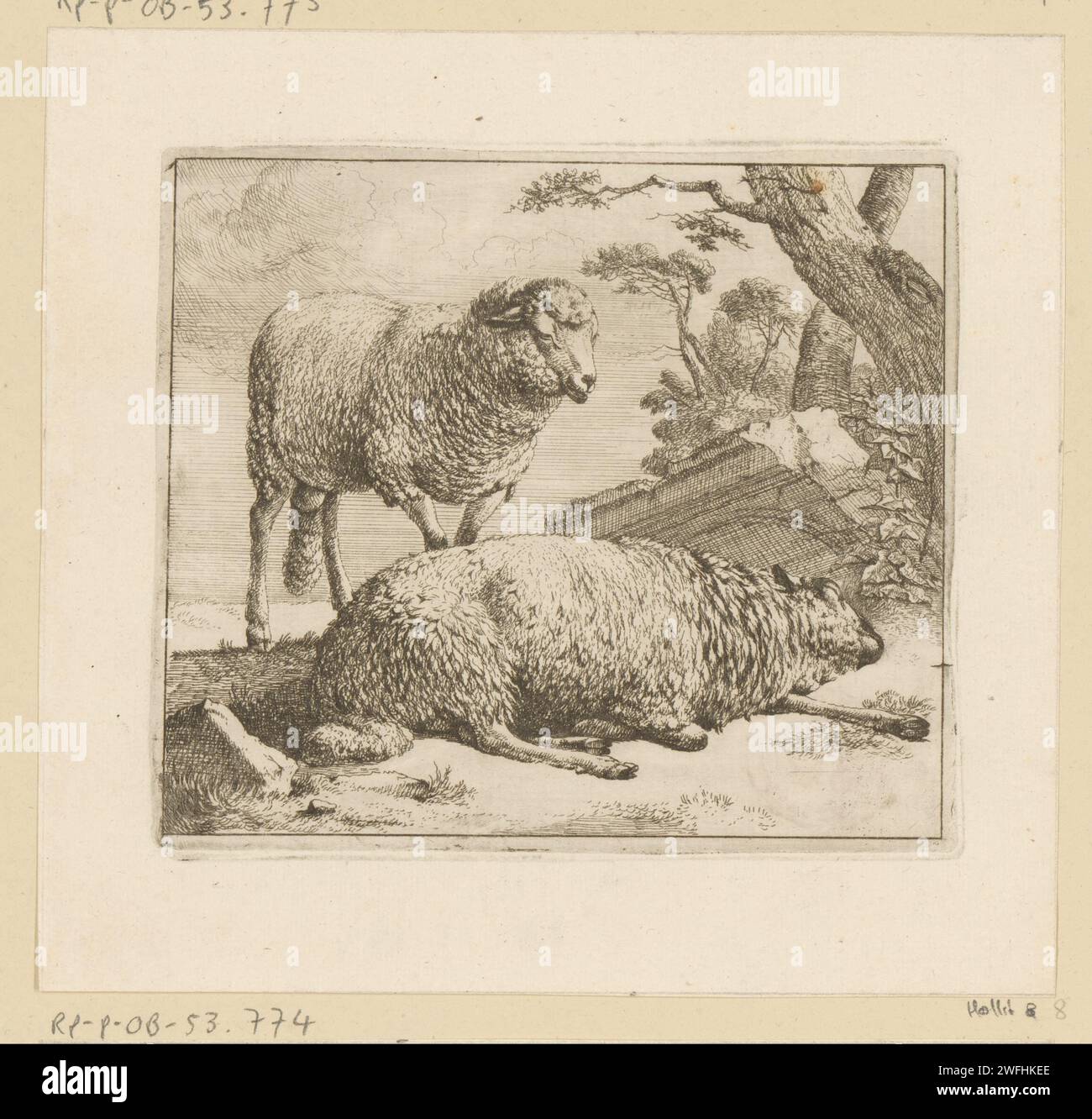 Lying and standing Schaap, Johann Heinrich Roos, 1671 print paper ...