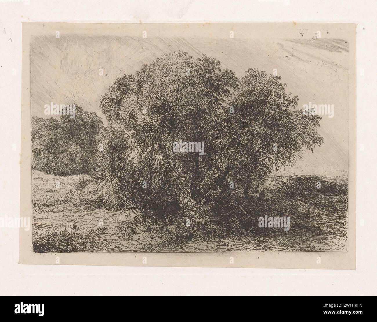 Group of trees with a figure, Jean Alexis Achard, c. 1851 print France ...