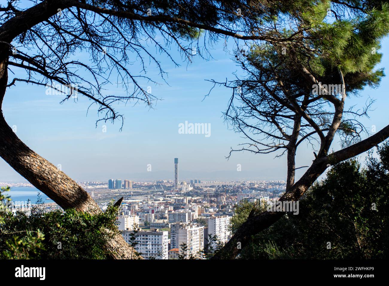Algiers most beautiful mosque hi-res stock photography and images - Alamy