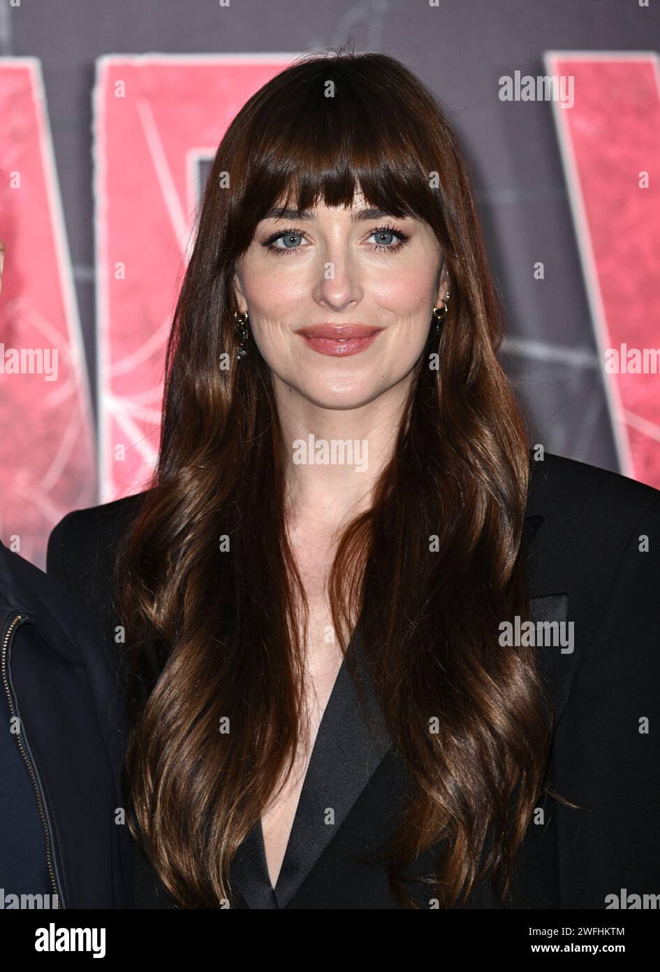 Dakota johnson at madame web photocall hi-res stock photography and ...