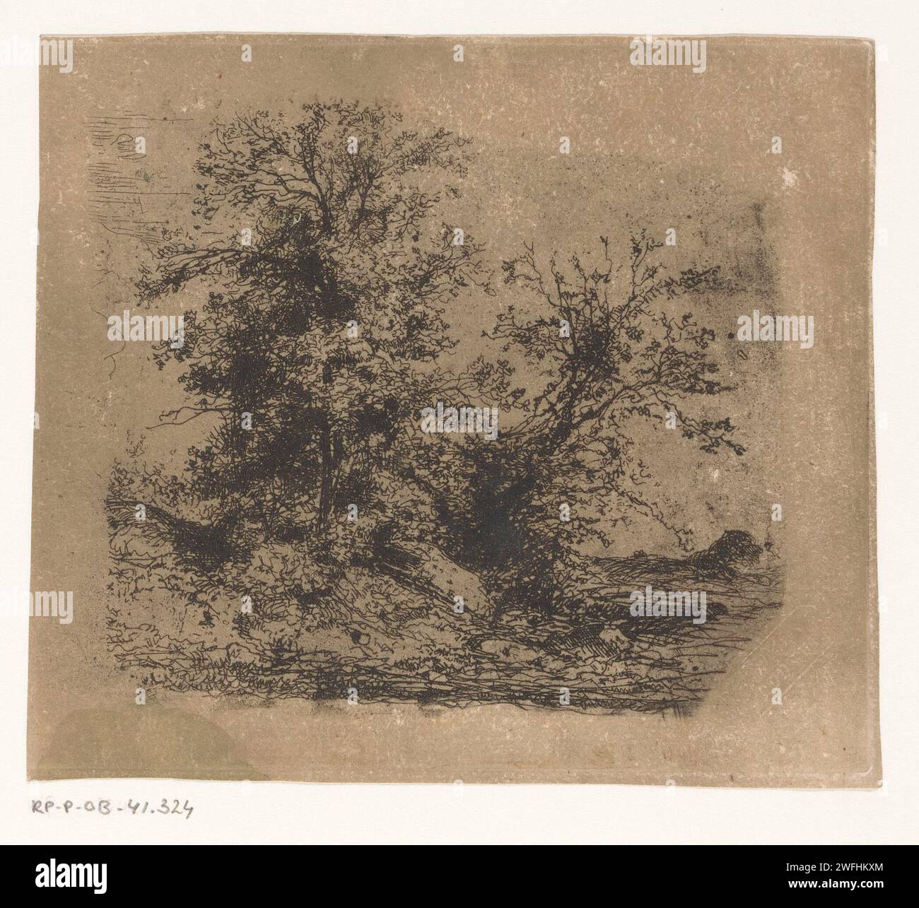 Landscape with trees, Jean Alexis Achard, 1817 - 1884 print France ...
