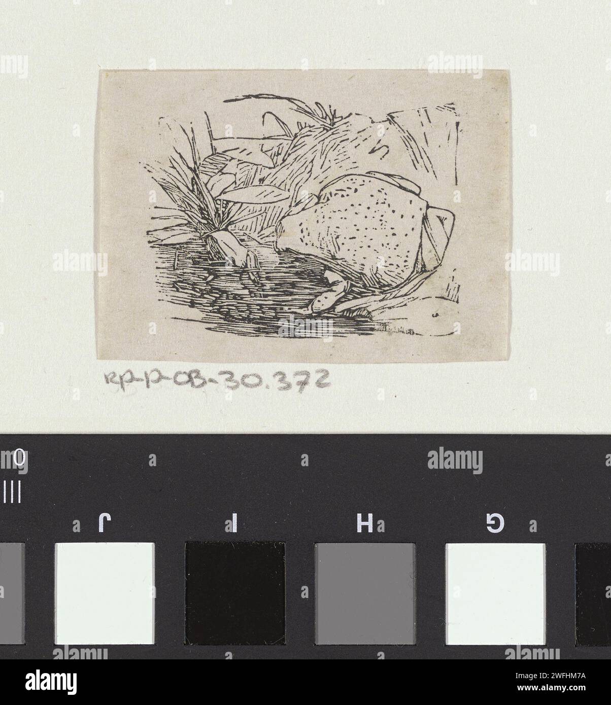 Waterkant with plants, Isaac Weissenbruch, 1836 - 1912 print ...