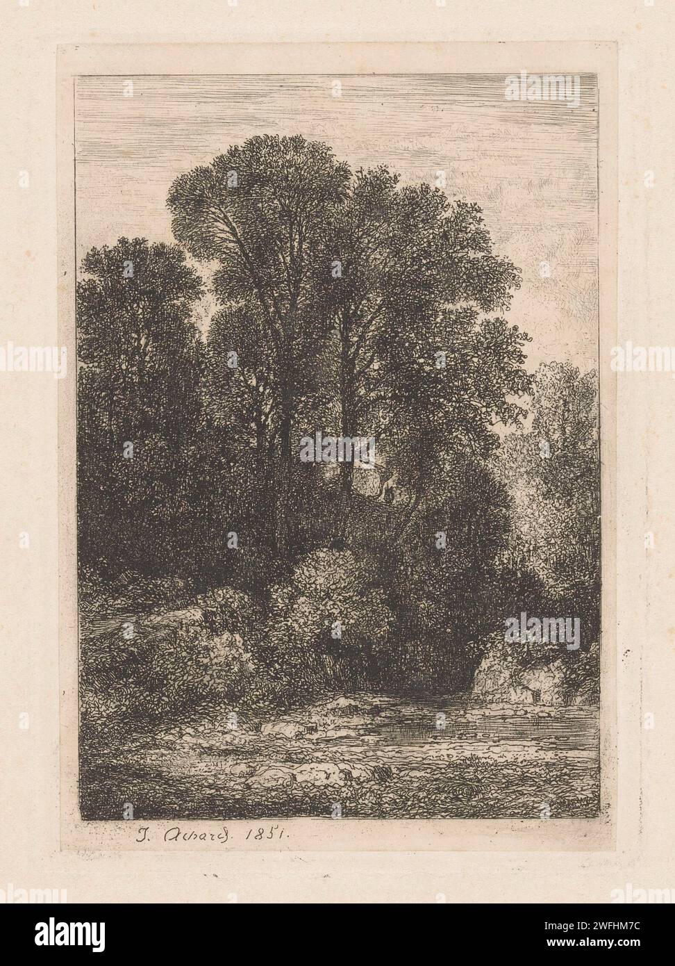 Trees along the banks of a stream, Jean Alexis Achard, 1851 print ...