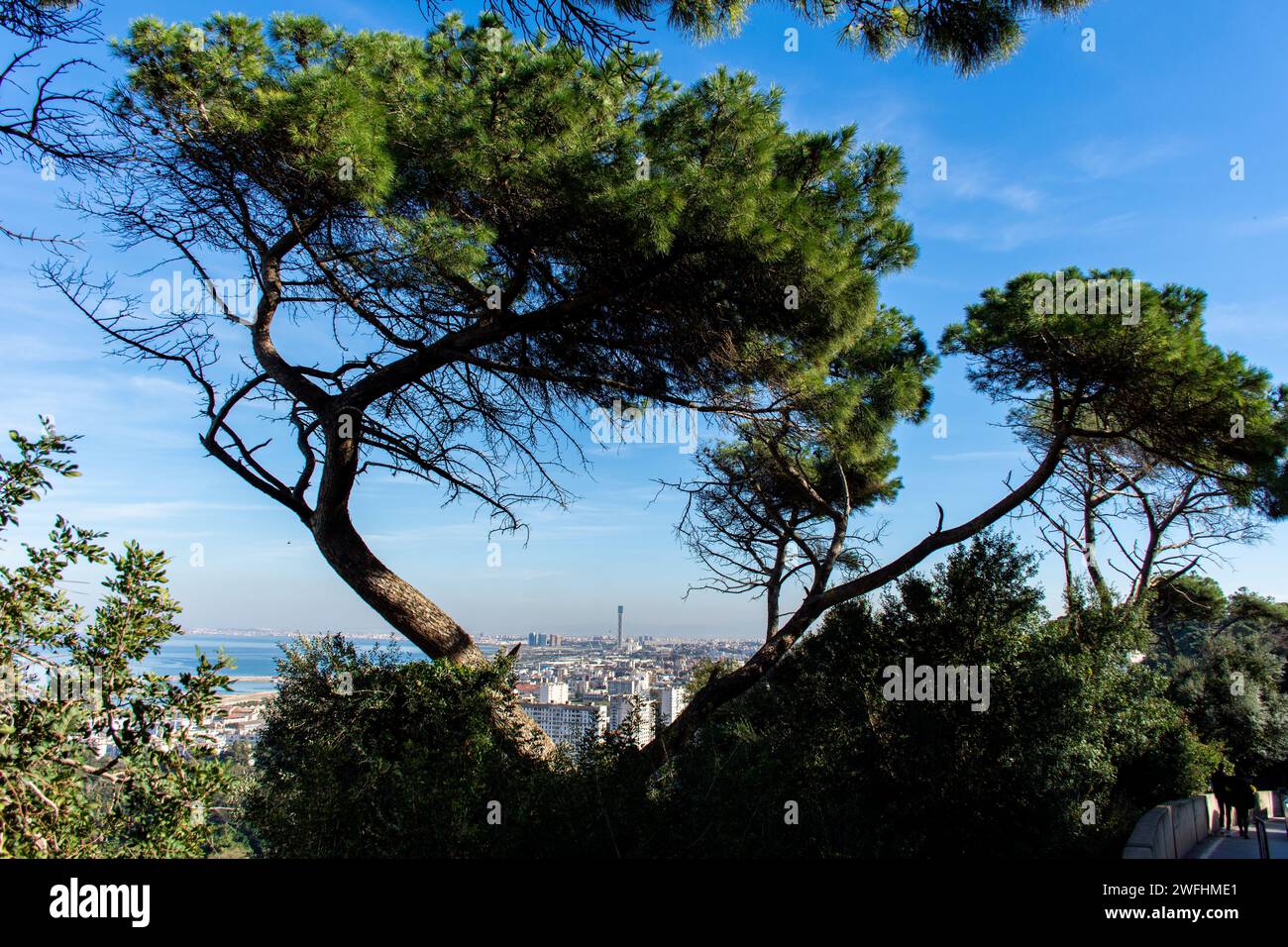 Algiers most beautiful mosque hi-res stock photography and images - Alamy