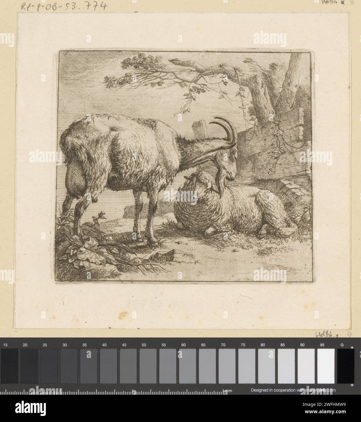 Lying sheep and standing goat near a fence, Johann Heinrich Roos, 1671 ...