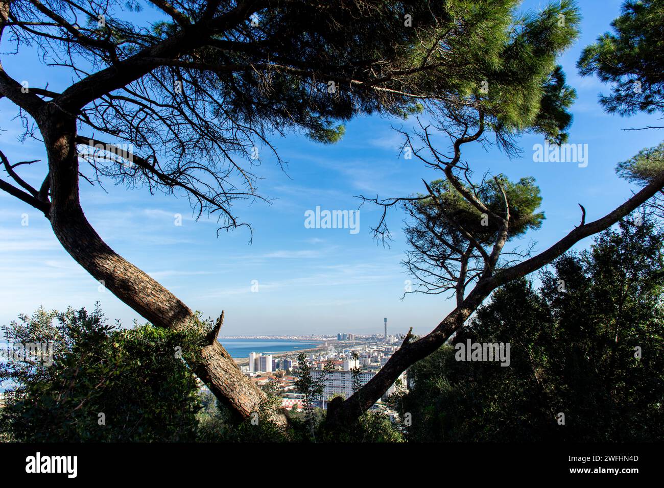 Algiers most beautiful mosque hi-res stock photography and images - Alamy