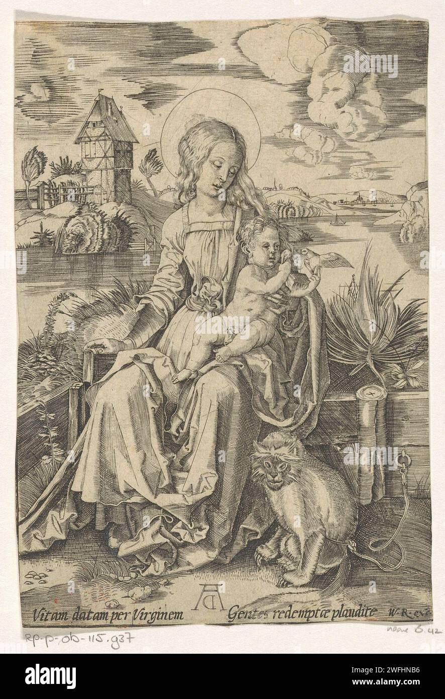 Madonna with the monkey, Anonymous, Albrecht Dürer, 1500 - 1599 print ...