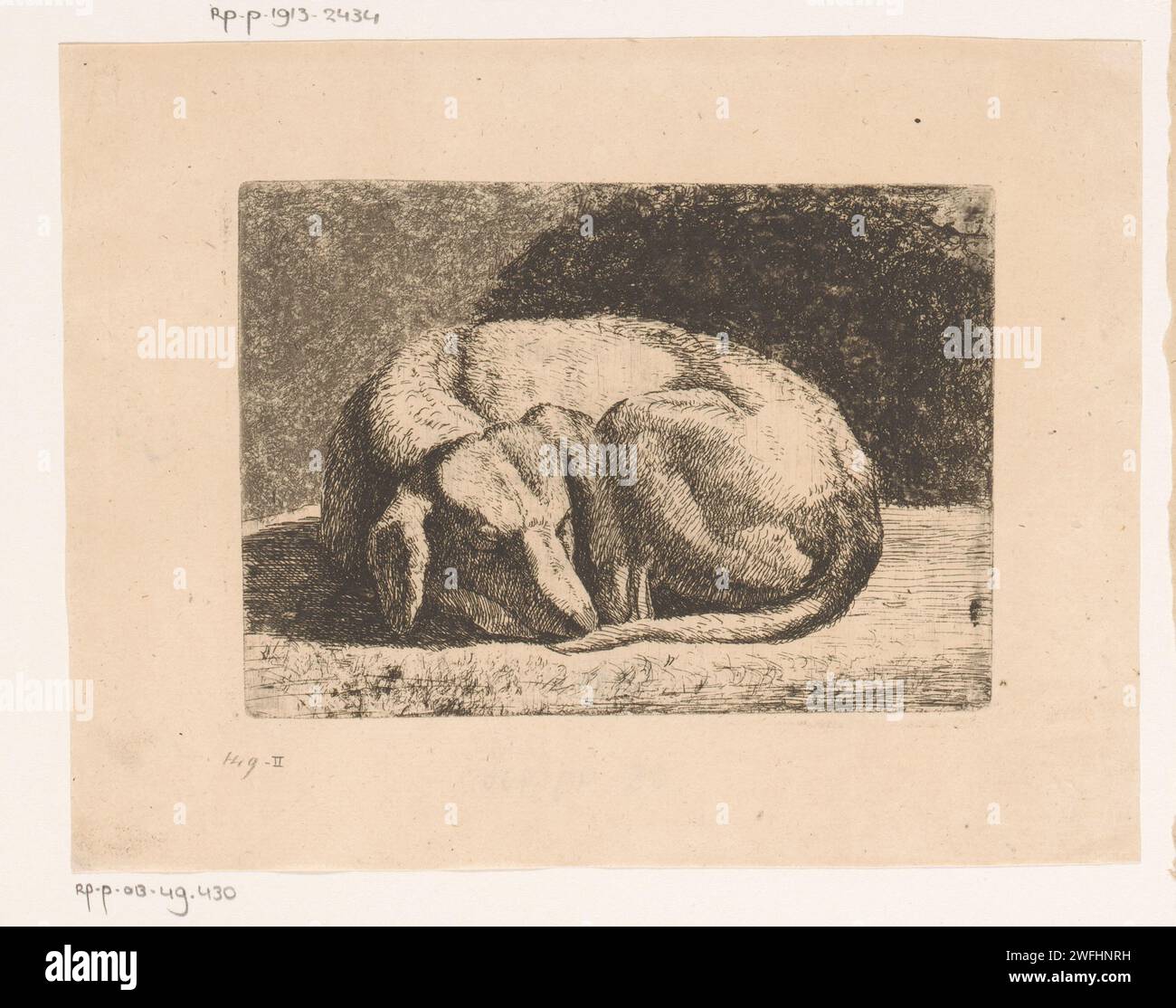 Sleeping Dog, Hendrik Jozef Franciscus van der Poorten, 1842 print ...