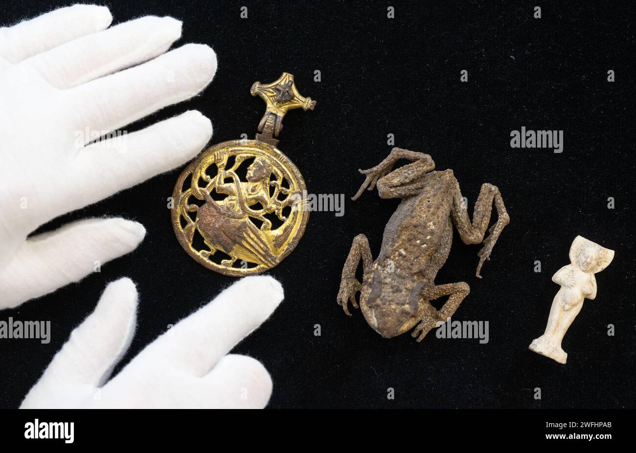 FILED - 31 January 2024, Saxony-Anhalt, Halle (Saale): Nico Schwerdt ...