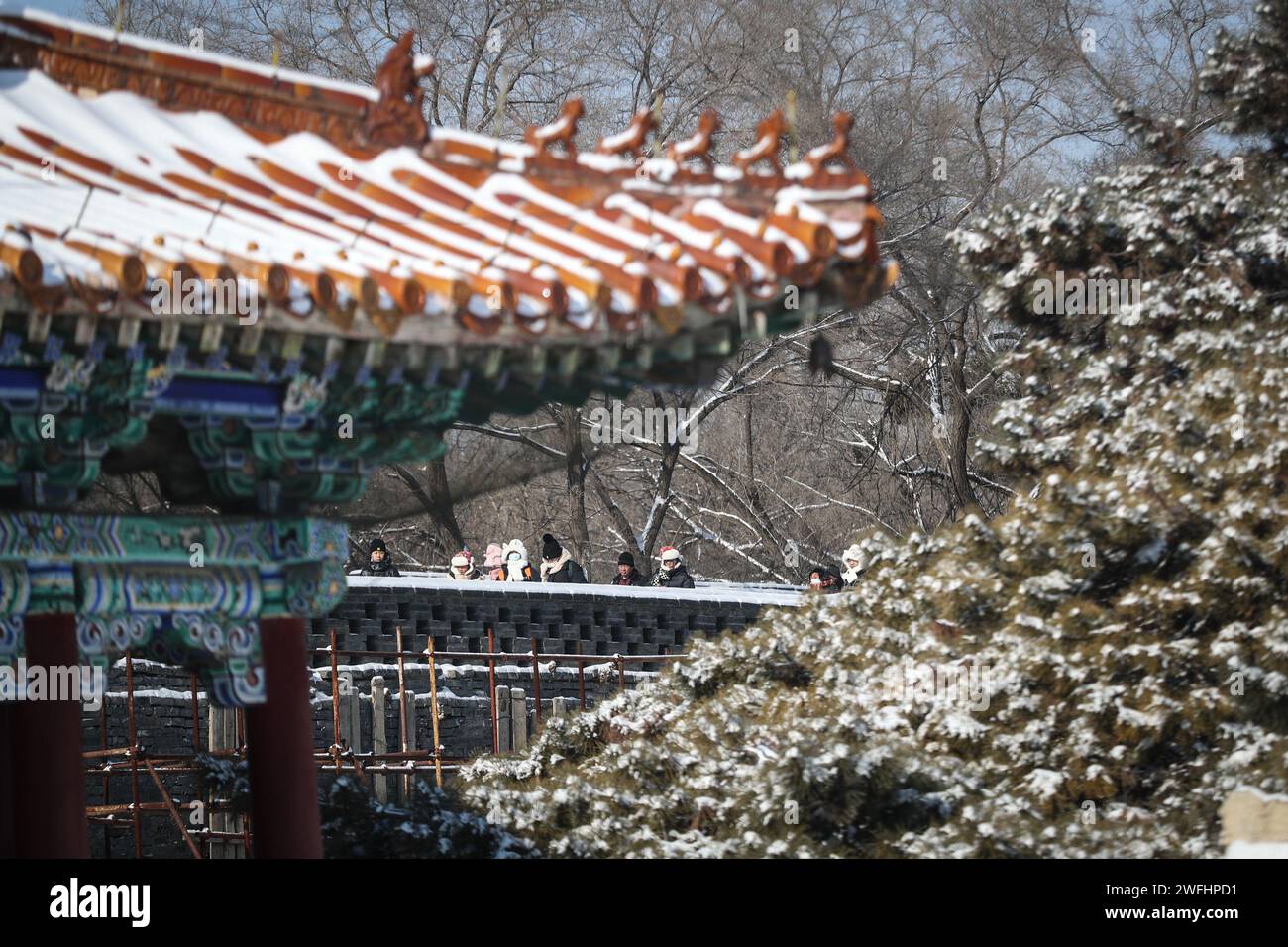 Shenyang, China's Liaoning Province. 31st Jan, 2024. People visit the ...