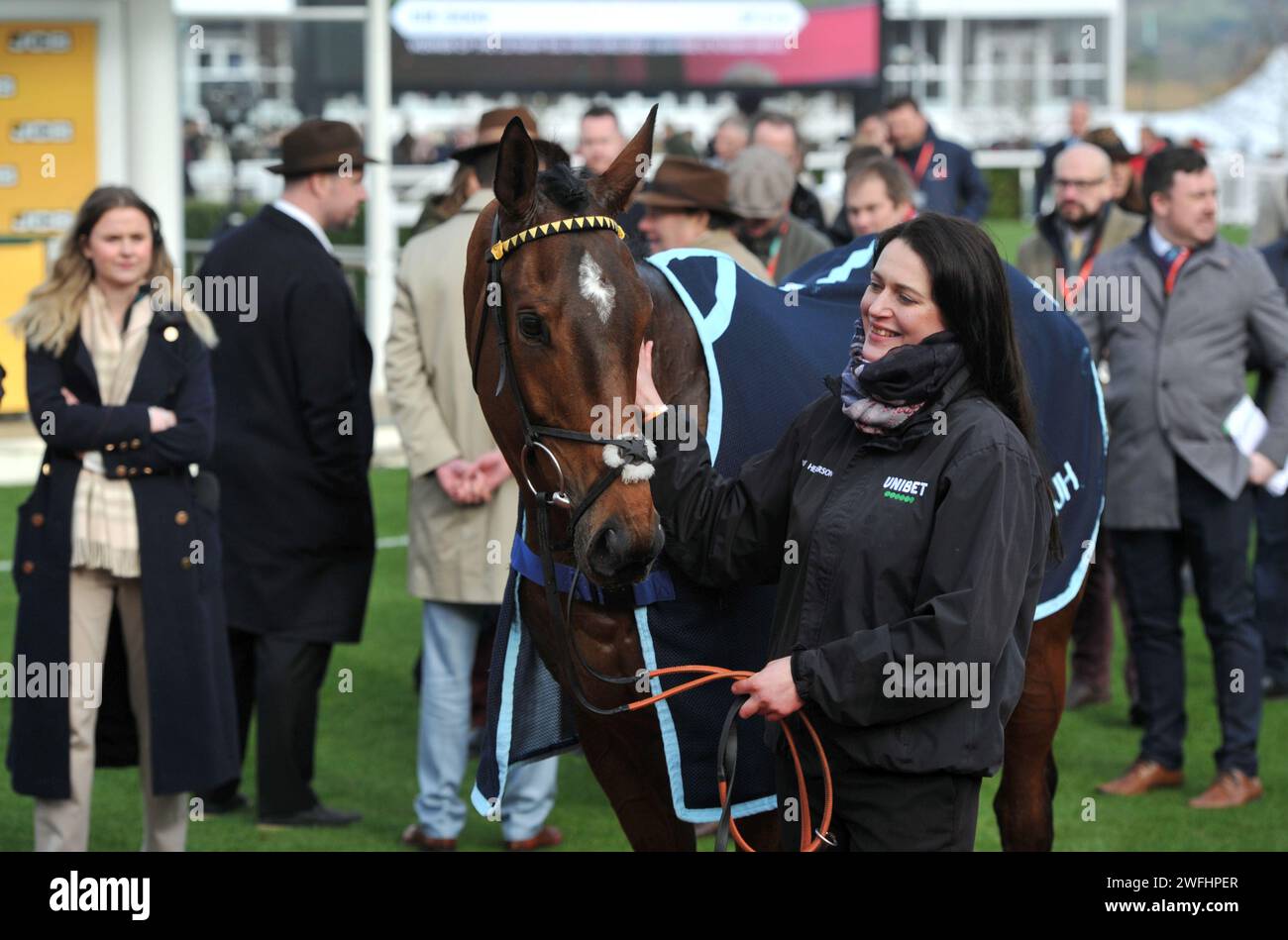 Race 1 12.05 The JCB Triumph Trial Hurdle Race. Race winner Sir Gino ...