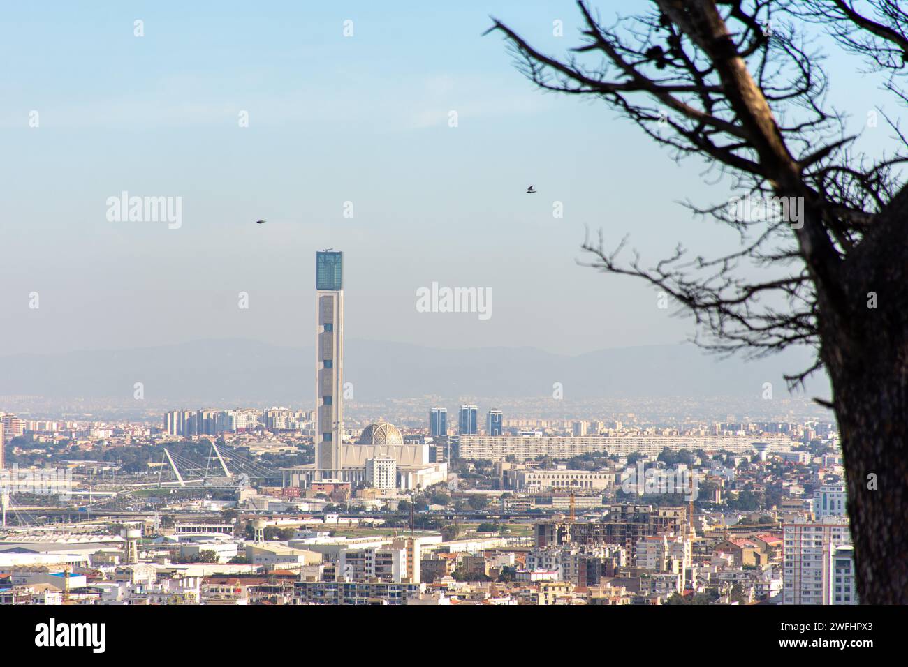 Algiers most beautiful mosque hi-res stock photography and images - Alamy