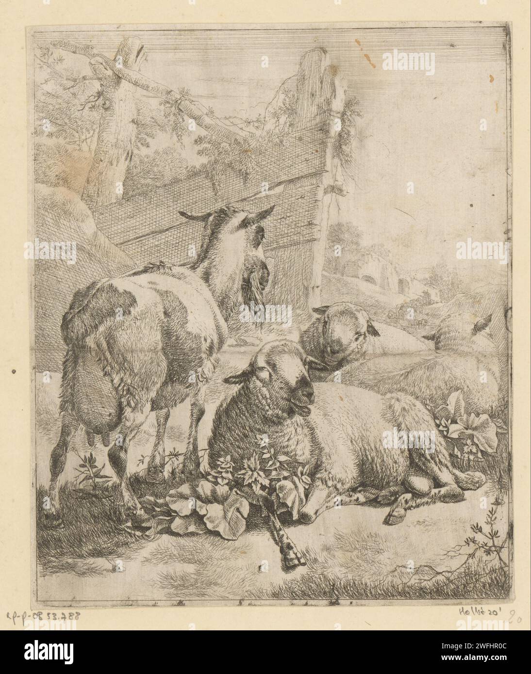 Standing goat and three lying sheep, Johann Heinrich Roos, c. 1668 - c ...