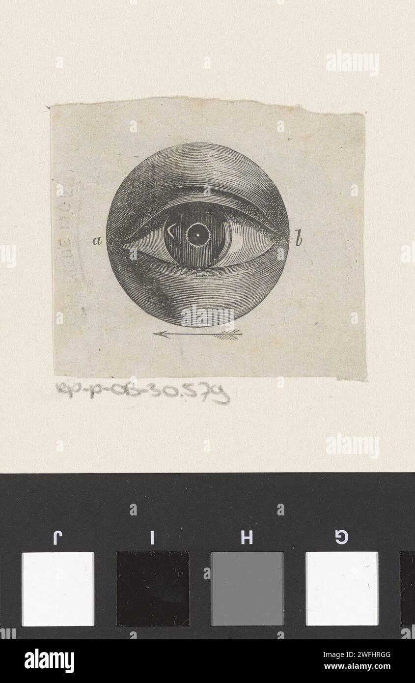 Human eye with a deviation, Isaac Weissenbruch, 1836 - 1912 print ...