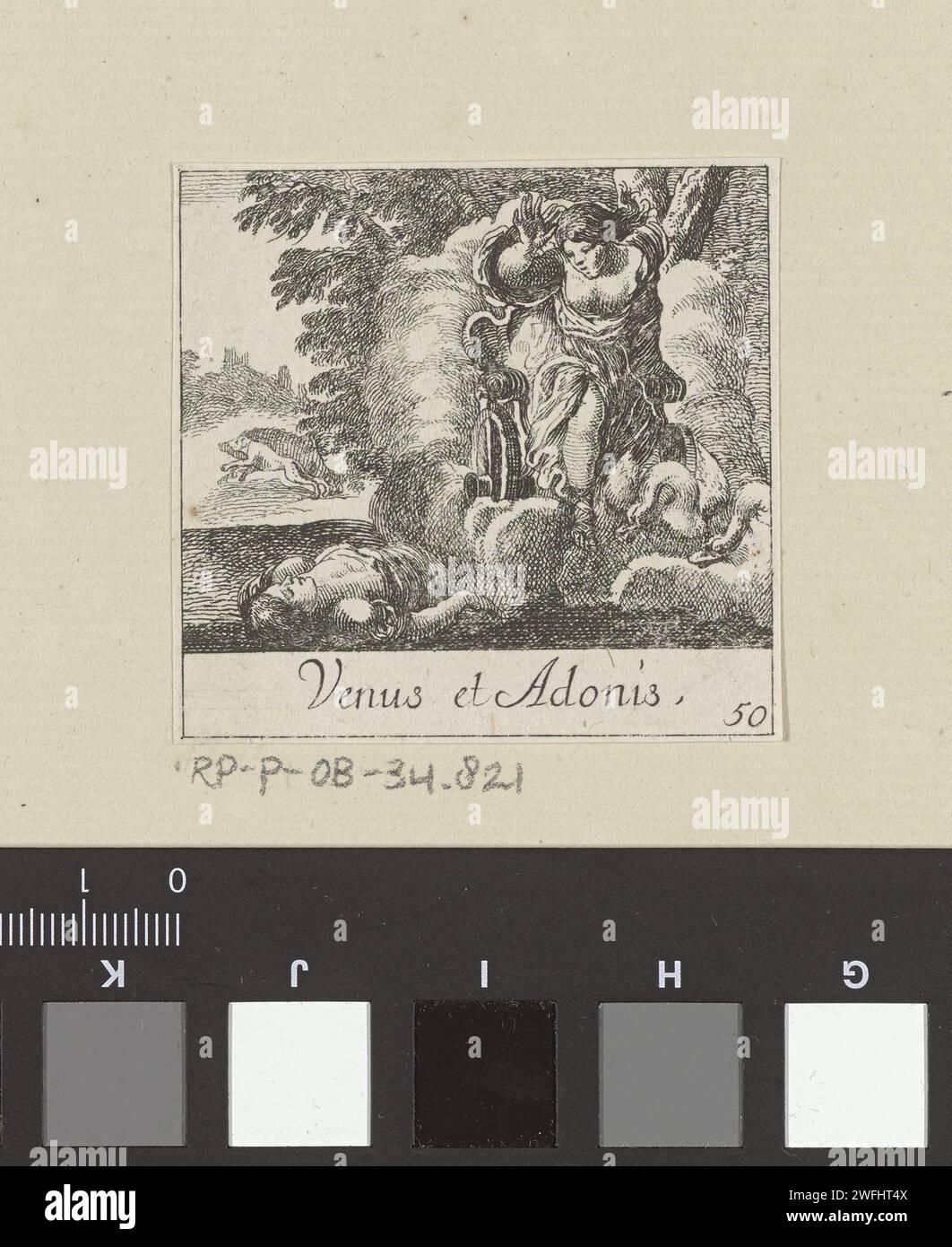 Dead adonis hi-res stock photography and images - Alamy