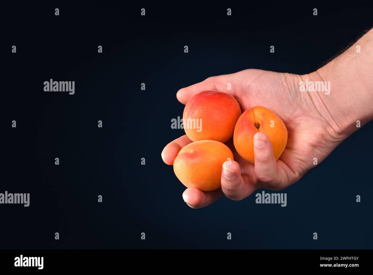 Apricot in man's hand on dark background Stock Photo - Alamy