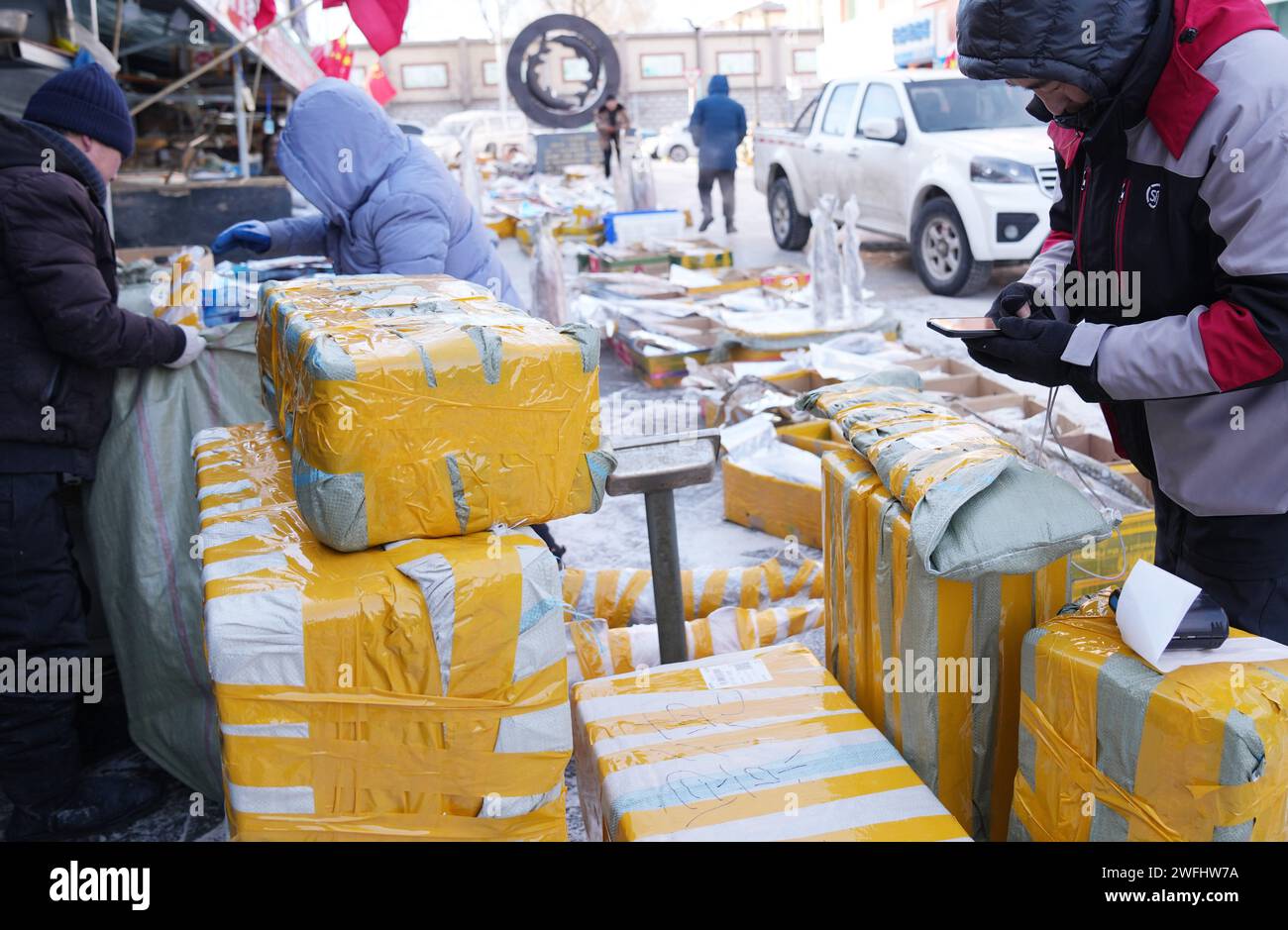 Fuyuan, China's Heilongjiang Province. 31st Jan, 2024. A courier (R ...