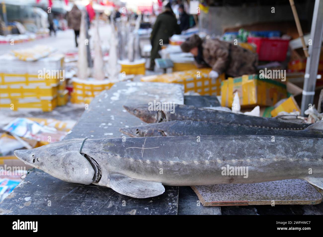 Fuyuan, China's Heilongjiang Province. 31st Jan, 2024. Vendors sell ...