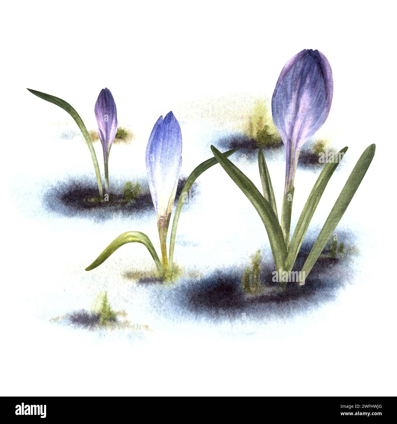 Winter landscape clipart painting hi-res stock photography and images ...