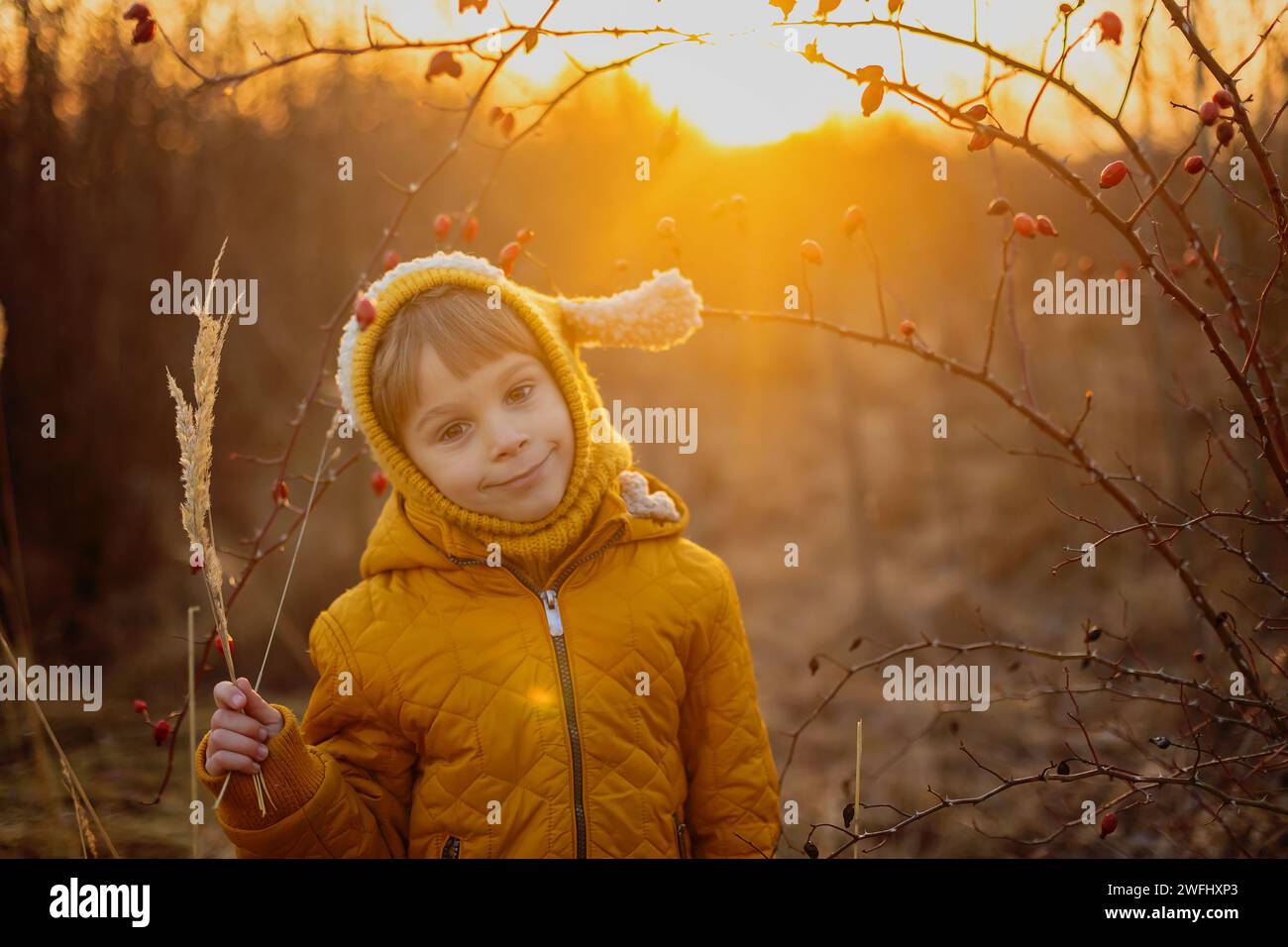 Hip husks hi-res stock photography and images - Alamy