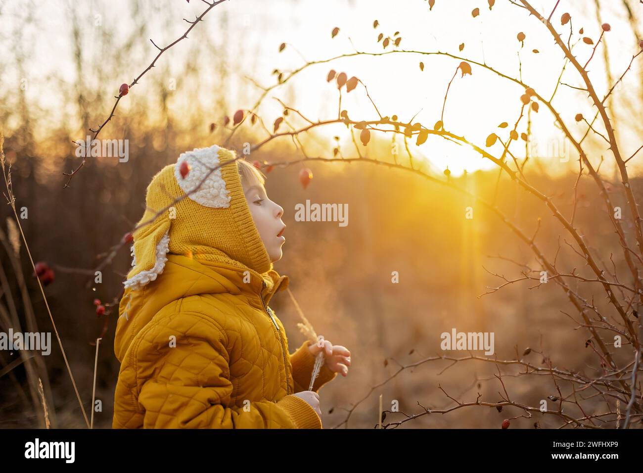 Hip husks hi-res stock photography and images - Alamy