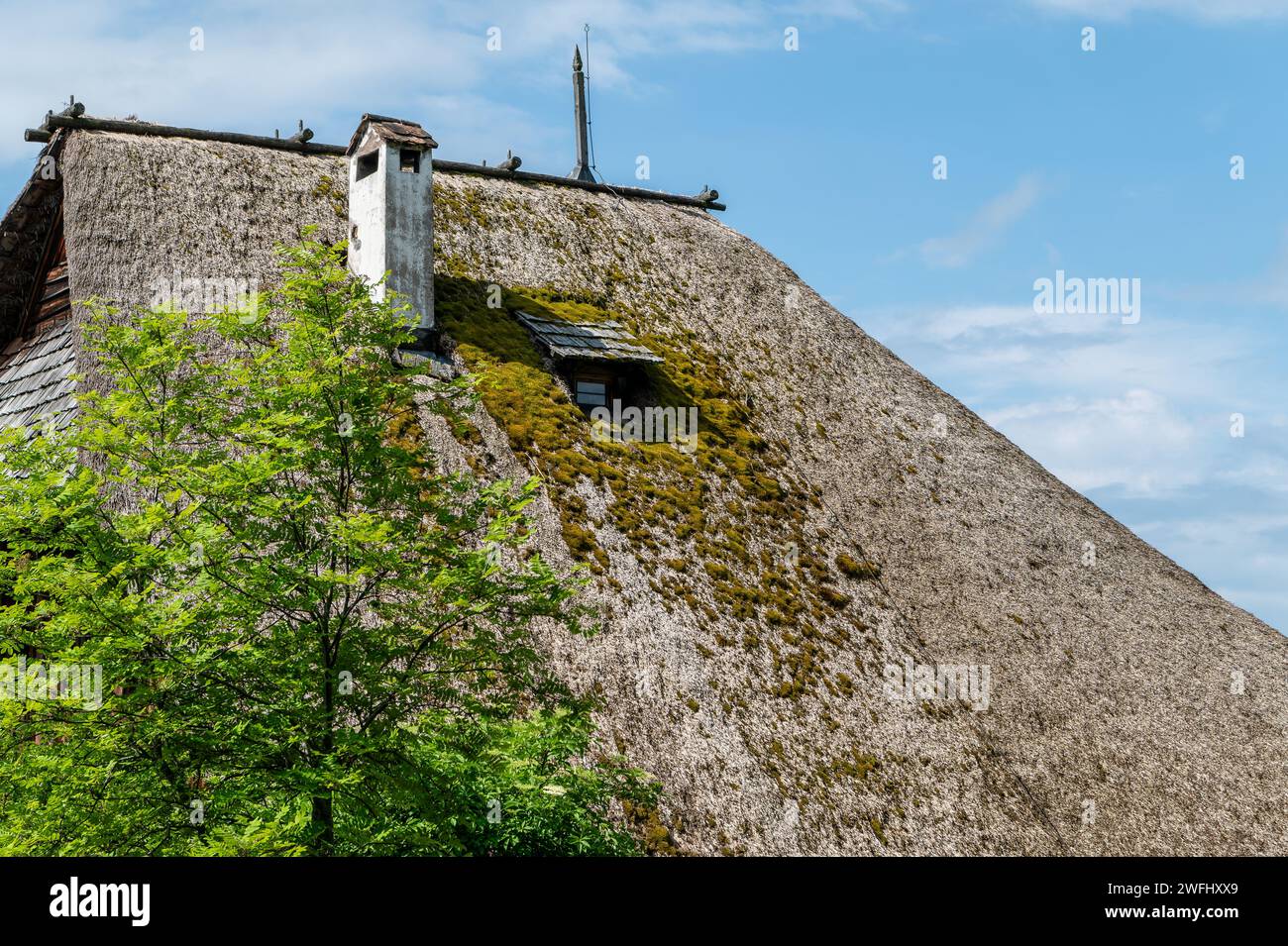 Tahatched roof hi-res stock photography and images - Alamy