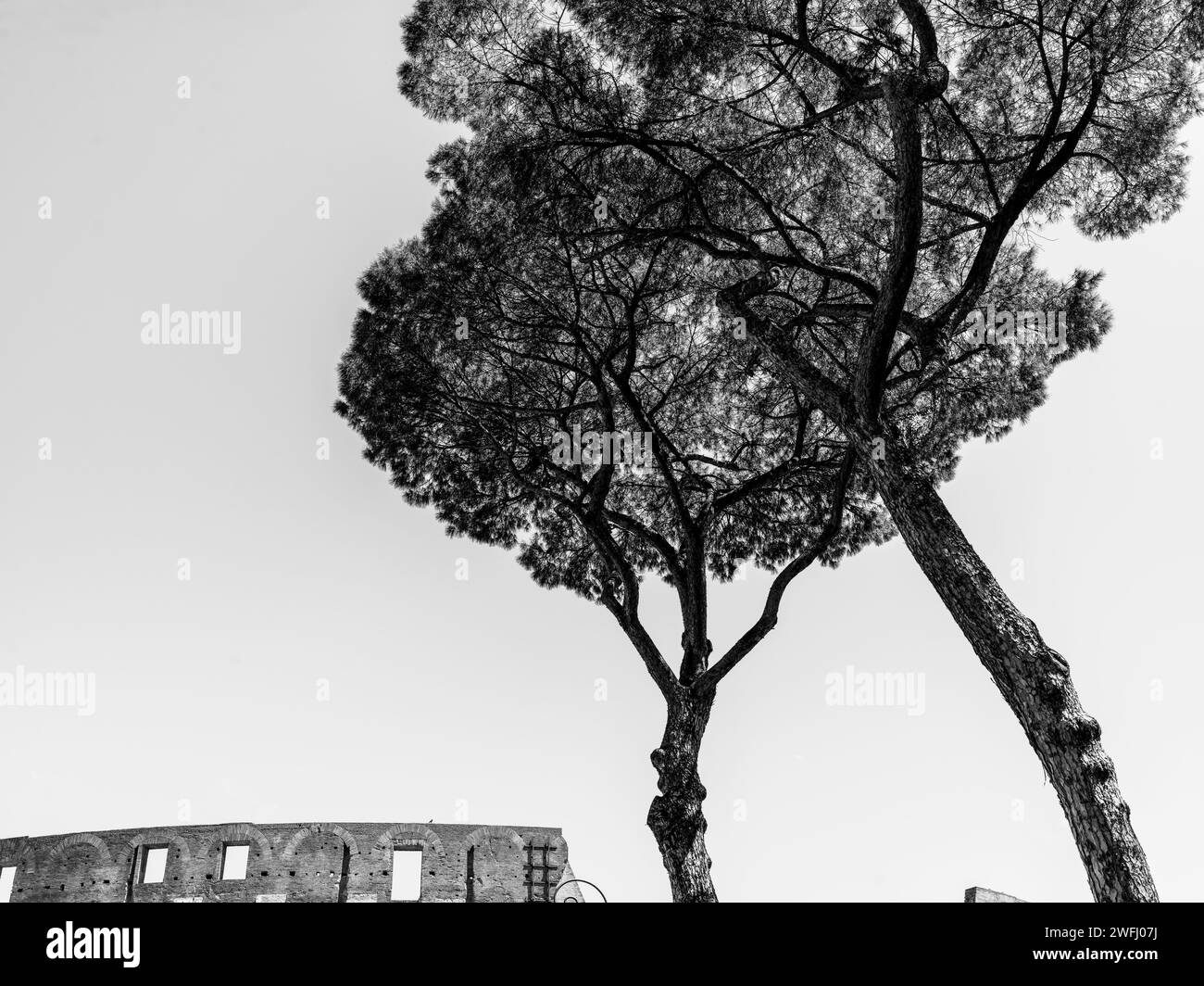 Rome italy celio Black and White Stock Photos & Images - Alamy