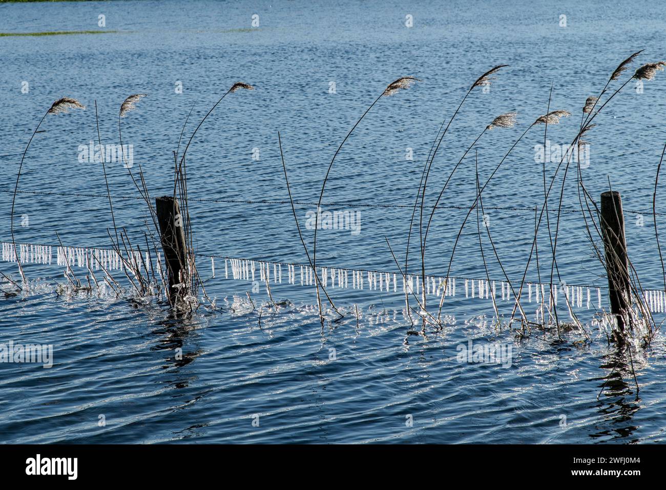 High water levels flooding the floodplains along a river in the ...
