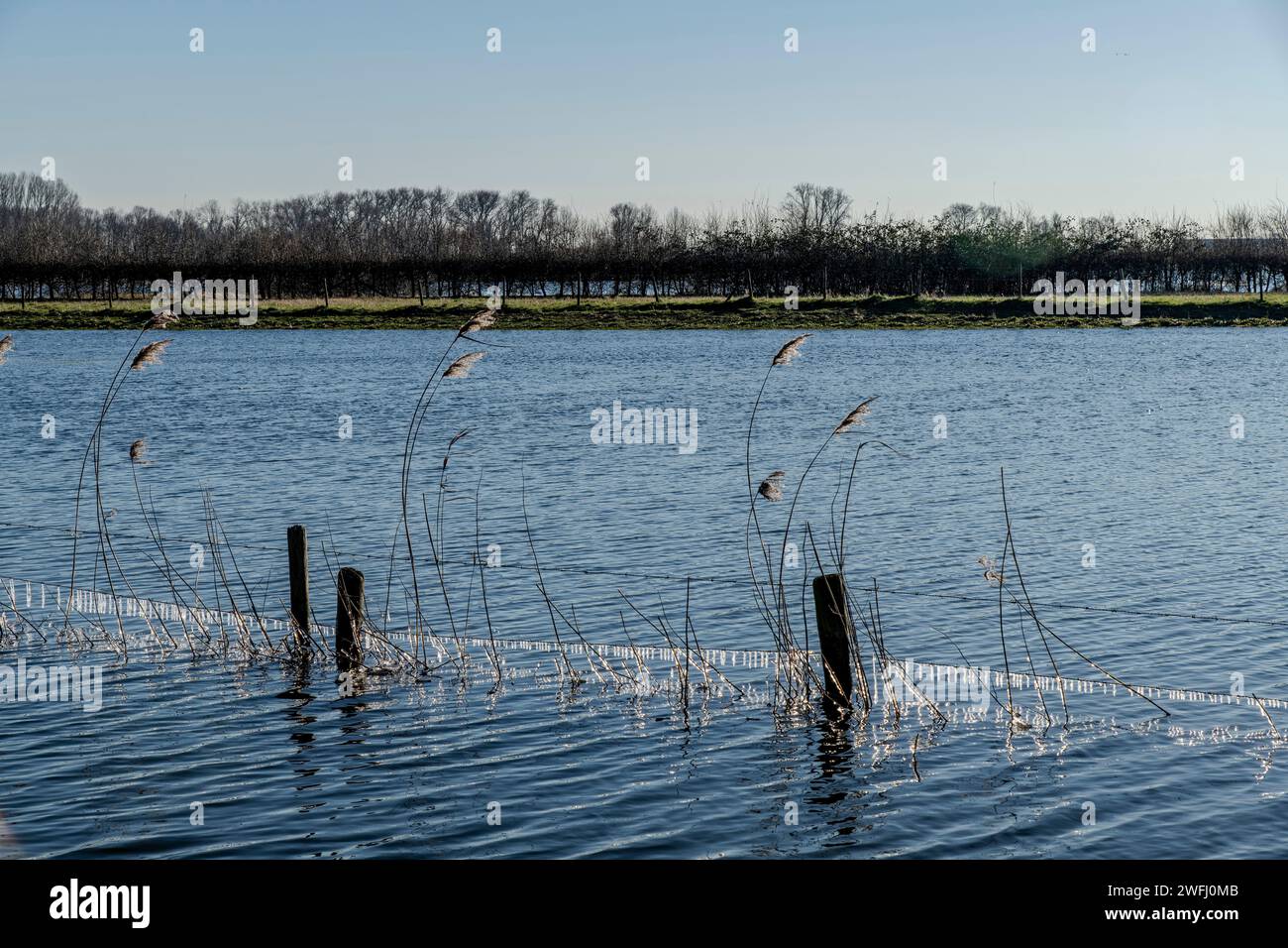 High water levels flooding the floodplains along a river in the ...
