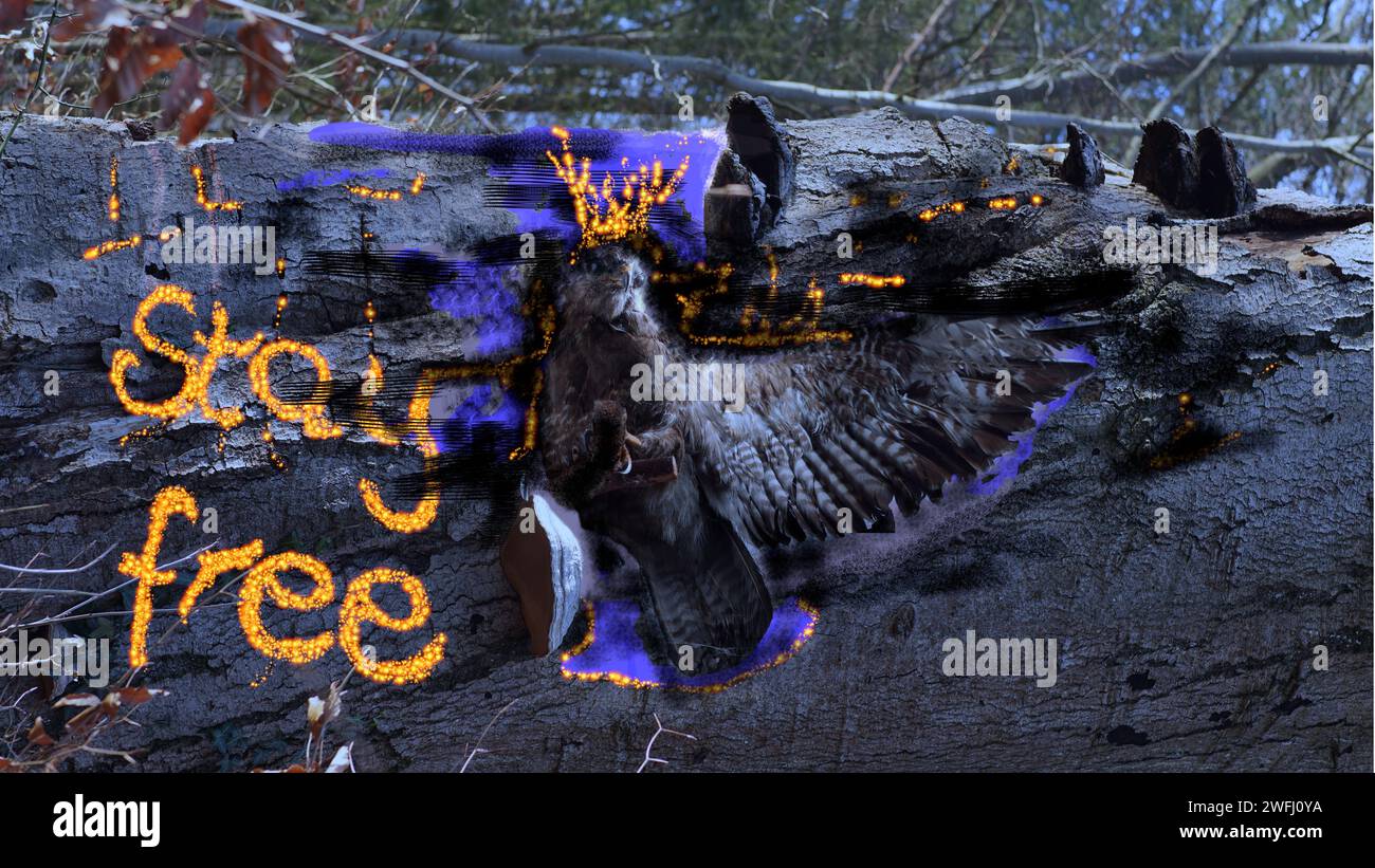 A buzzard on the trunk of a tree. Stay free written on the bark Stock ...