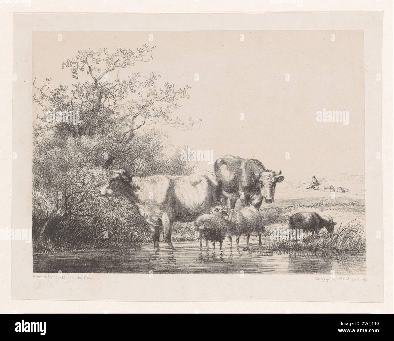 Cows and Sheep in Plas, Hendrikus van de Sande Bakhuyzen, 1847 - 1860 ...